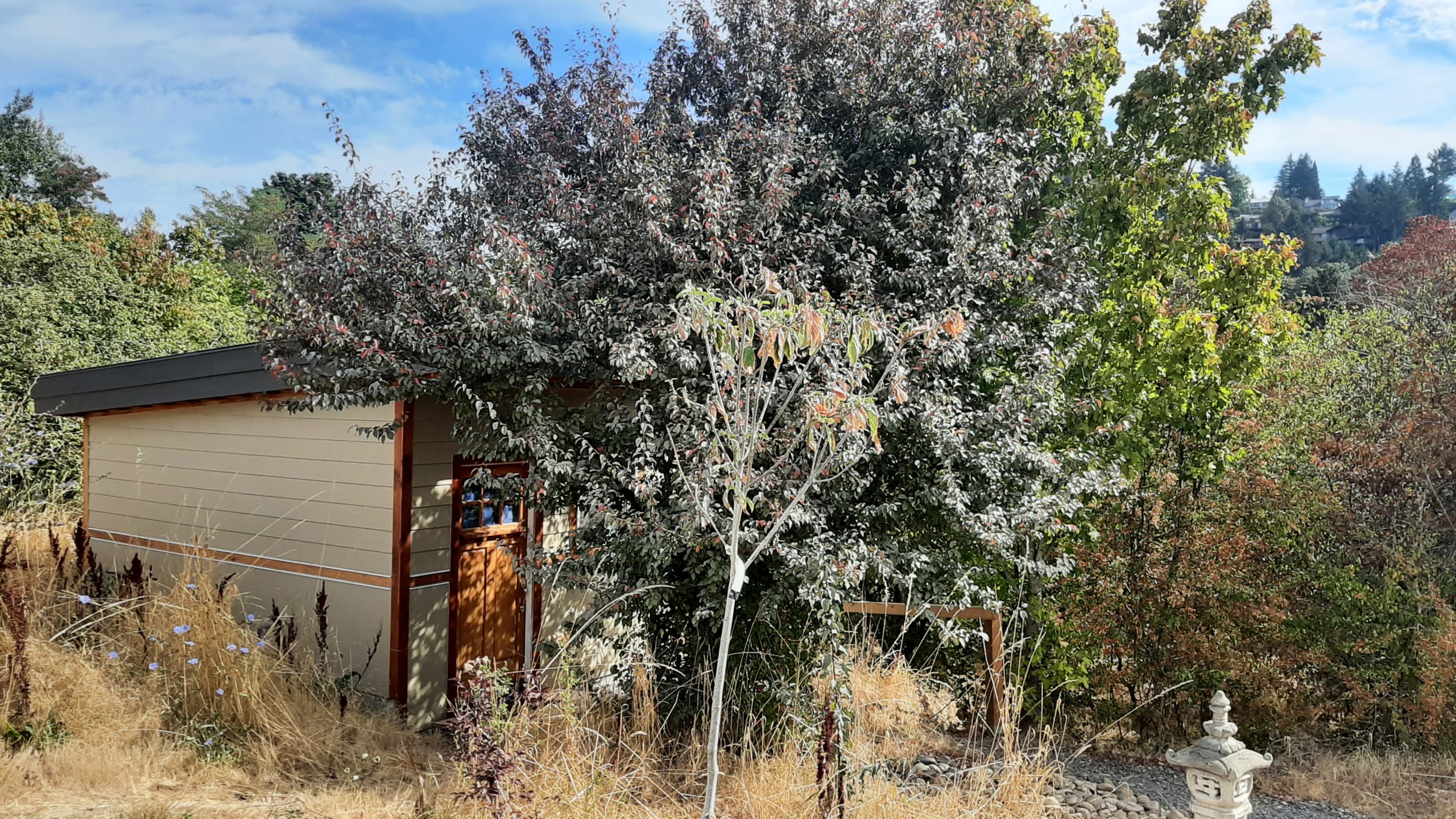 On the Daigen Shuri Ceremony – Dharma Rain Zen Center | Portland OR