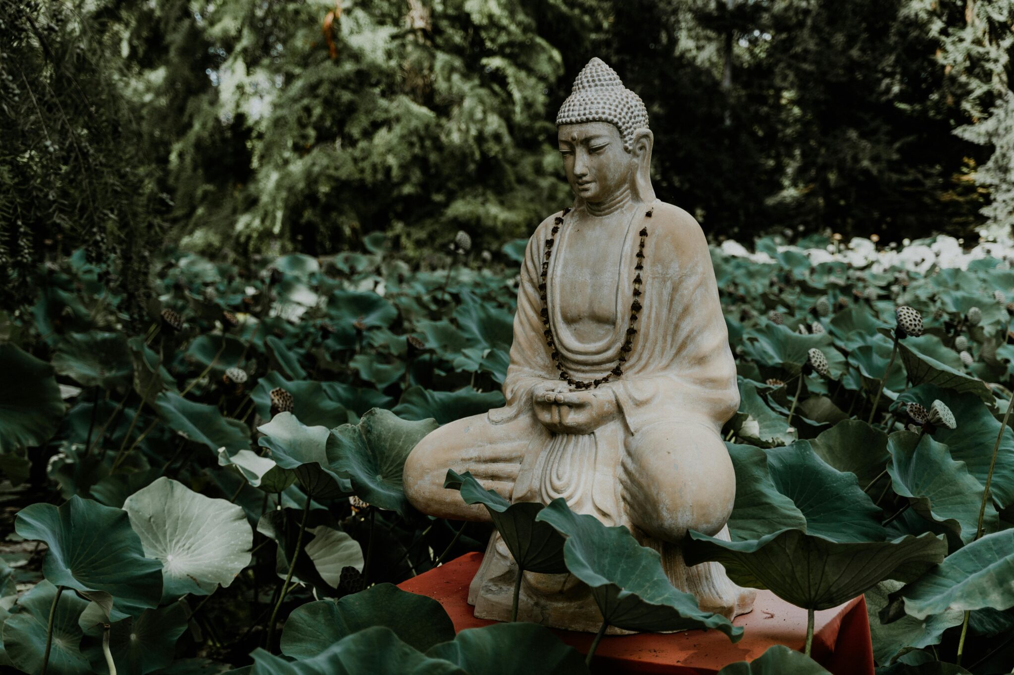 Portland Buddhist Festival 2026 – Dharma Rain Zen Center | Portland OR